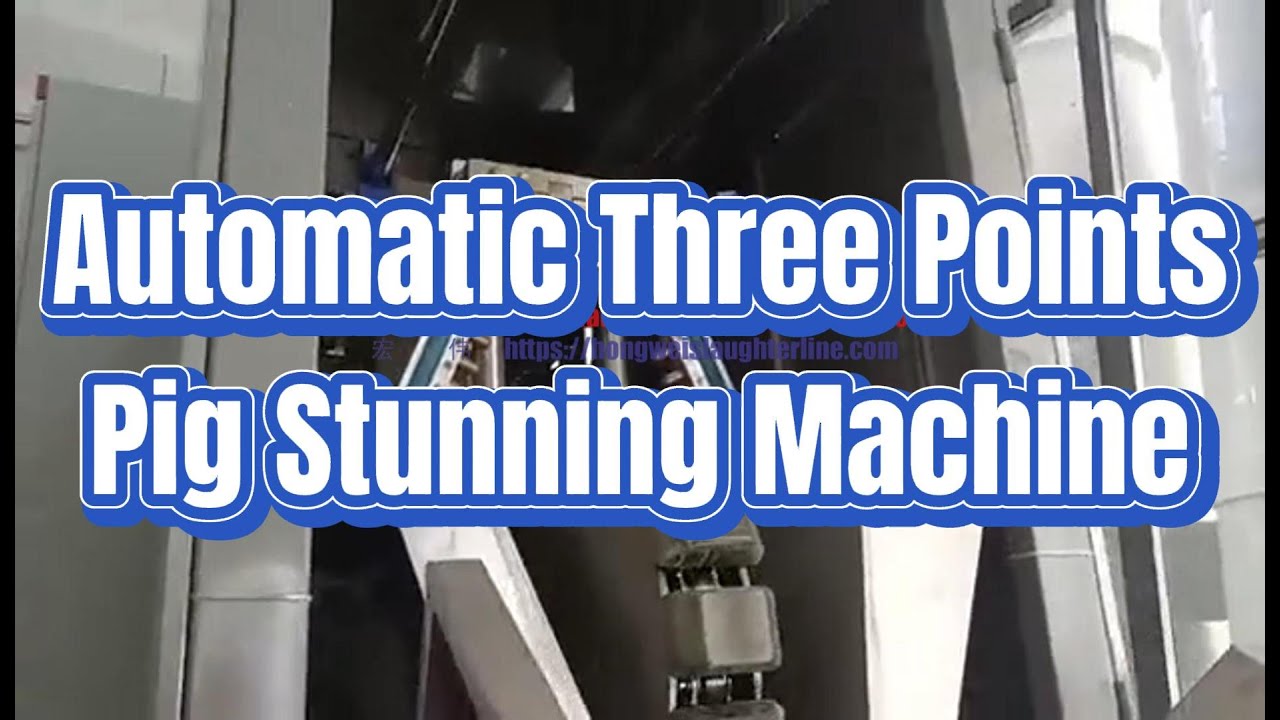 Automatic three points pig stunning machine conveyor hog abattoir ...