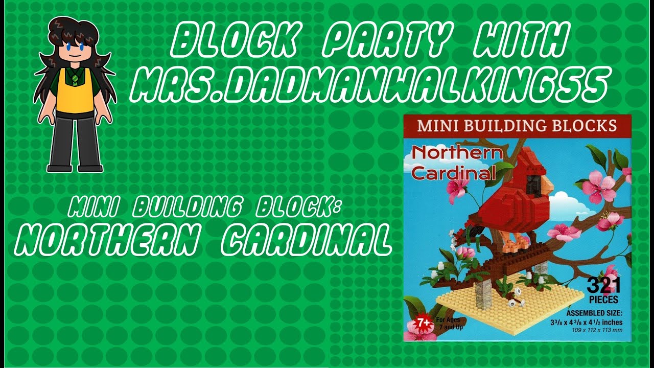 🧱🎉Block Party with Mrs.DadmanWalking55: Mini Building Blocks 🐦Northern ...