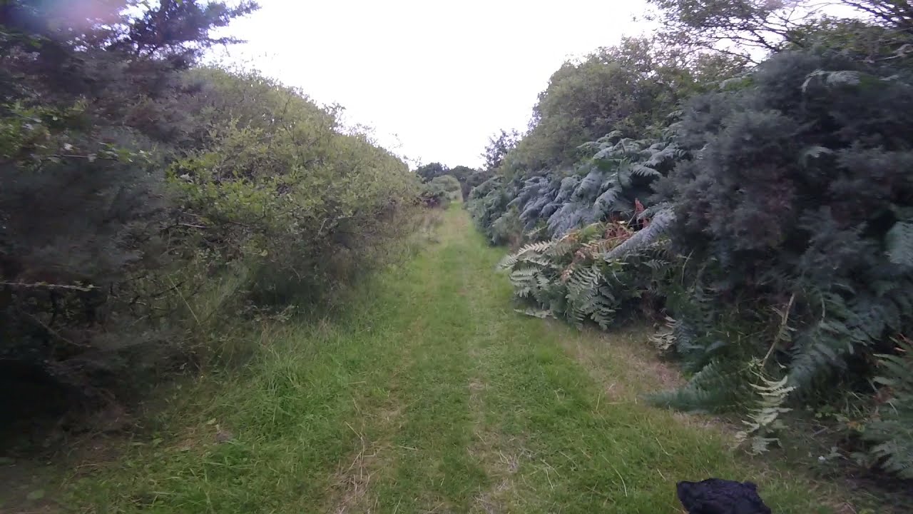 Straight Line Training - Scotland 2021 Part 2of 2 - YouTube