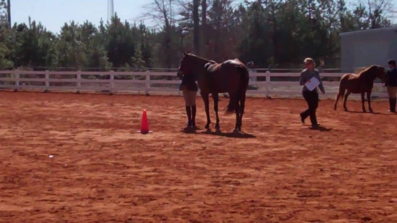 Elizabeth and "Maggie" in her Showmanship class.. - YouTube