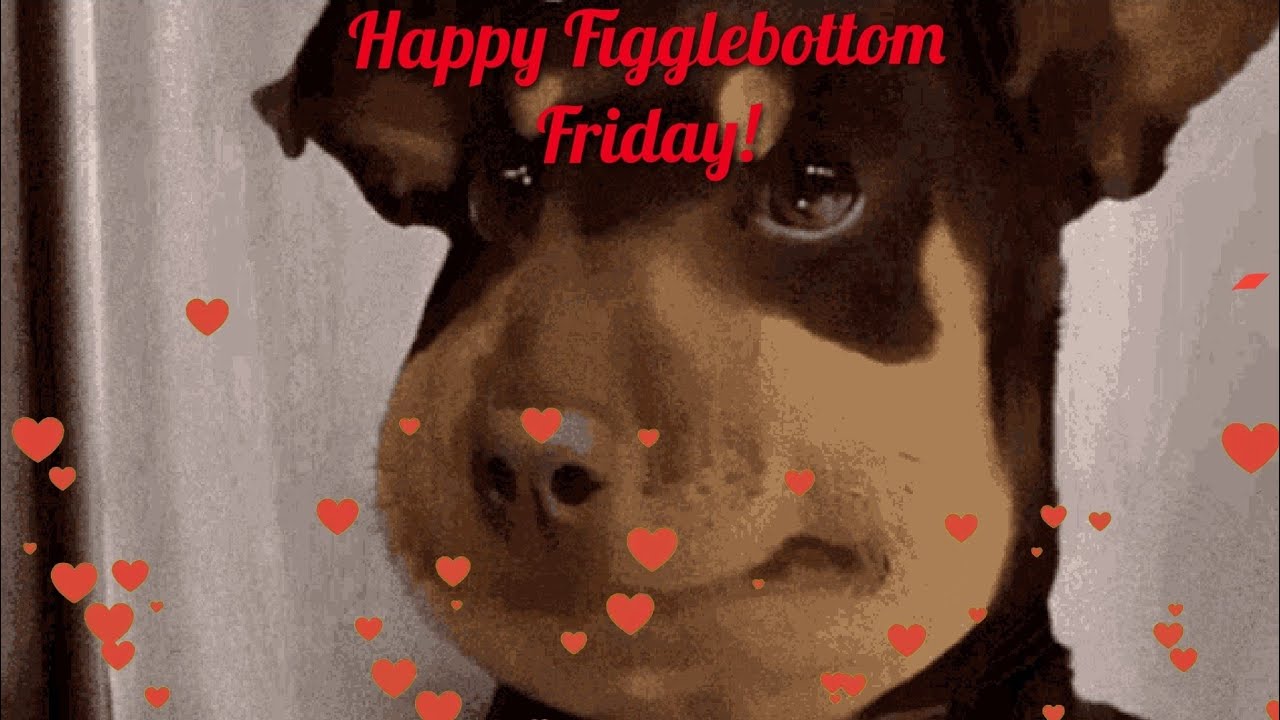 Happy Figglebottom Friday! - YouTube