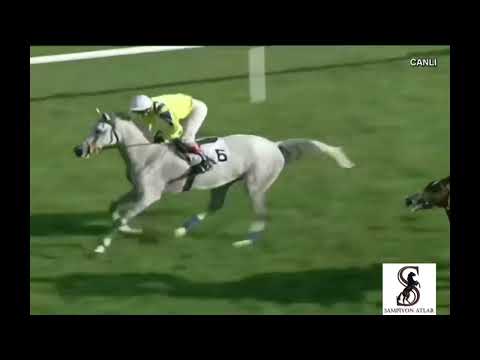 Karaca Sultan ve Akın Özdeniz