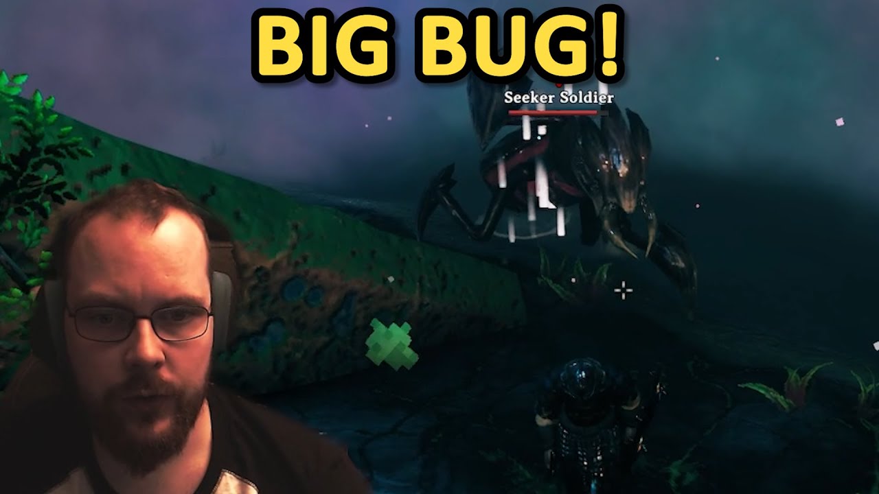 Valheim Bug Dungeons - YouTube