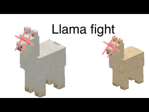 The epic llama fight with health bars - YouTube