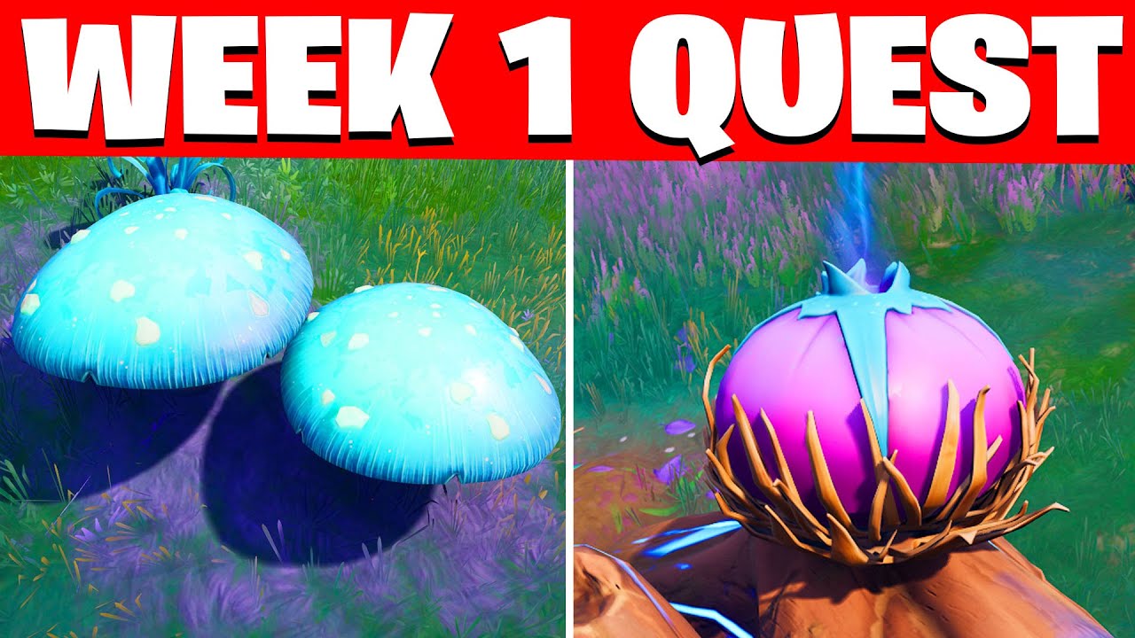 Week 1 Quests Fortnite - All Week 1 weekly Challenges guide - YouTube