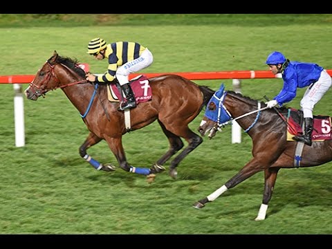 RADYOCU- HÜCUM TULGAR KOŞUSU 2016