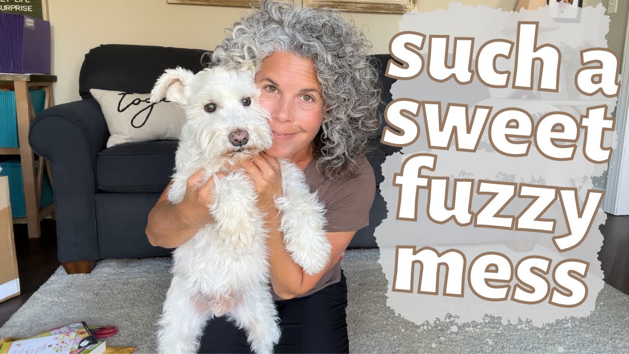 Maxxie & Pollux Get Handsome + Opening Fan Mail 💌 - YouTube