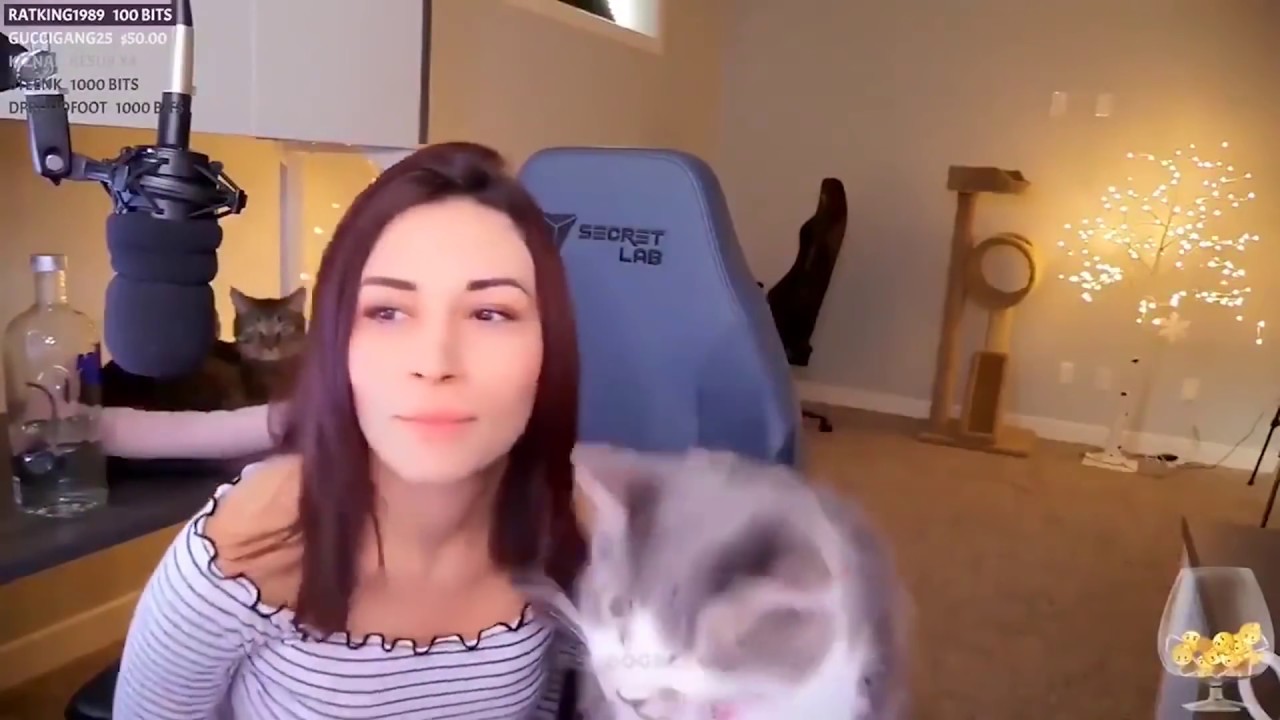 Alinity's Dog Attacks Her "Kitty" Live on Twitch - YouTube