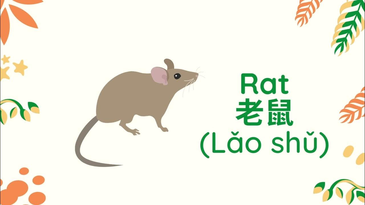 Learn Chinese - Farm and Zoo Animals (農場和動物園的動物) - YouTube