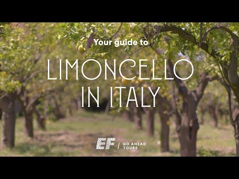 Guide to Limoncello in Italy | EF Go Ahead Tours