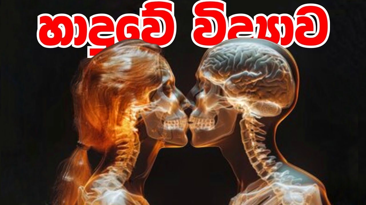 Science and chemistry behind kissing | What happens when we kiss ...