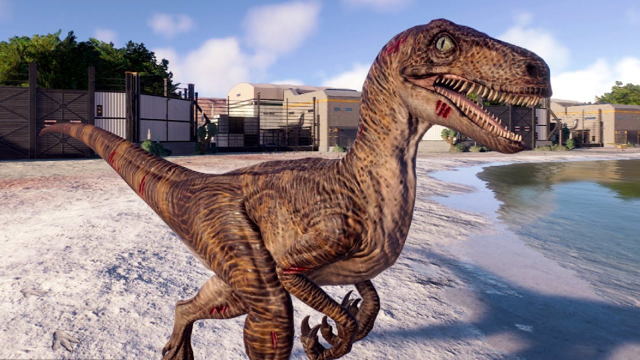Raptors Fighting - Jurassic World Evolution 2 - YouTube