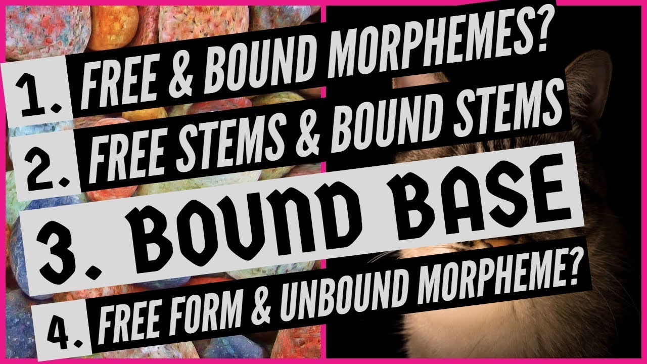 Free Morpheme Bound Morpheme Stems Bound Stems Free Stems free-morpheme-bound-morpheme-stems-bound-stems-free-stems