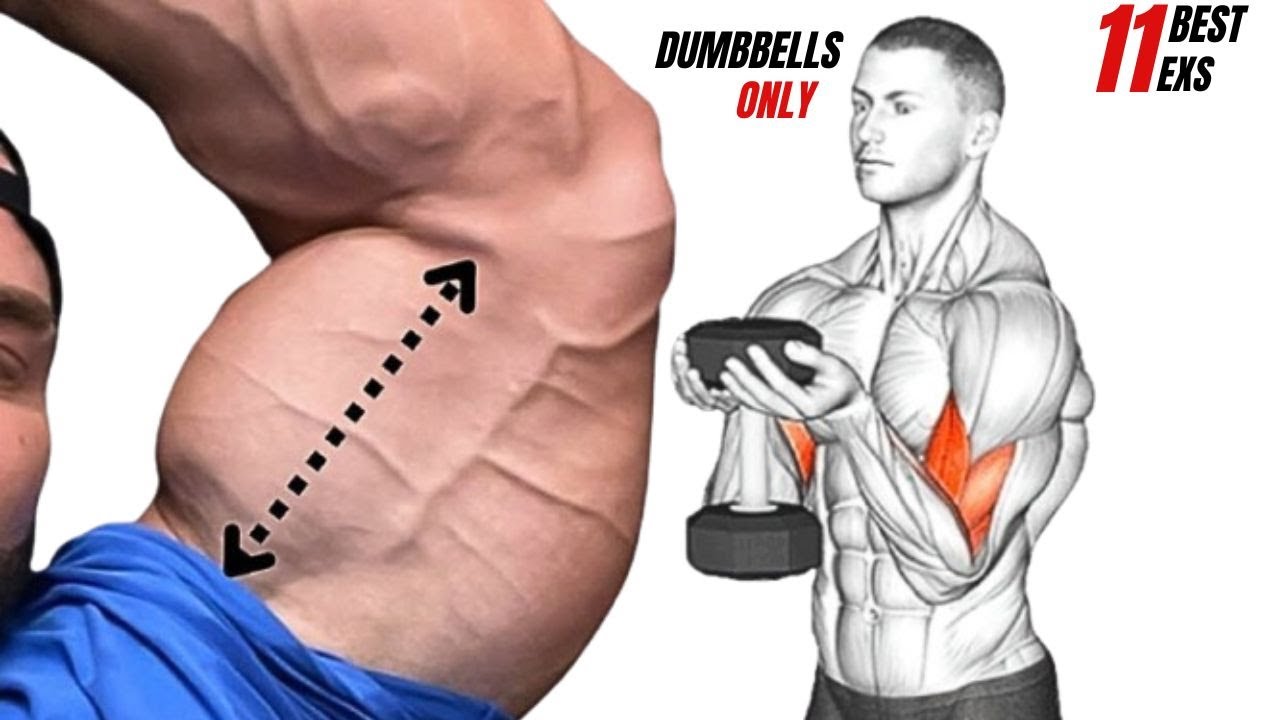 11 BEST LONG HEAD BICEPS / SHORT HEAD BICEPS /BRACHIALIS BEXERCISES ...