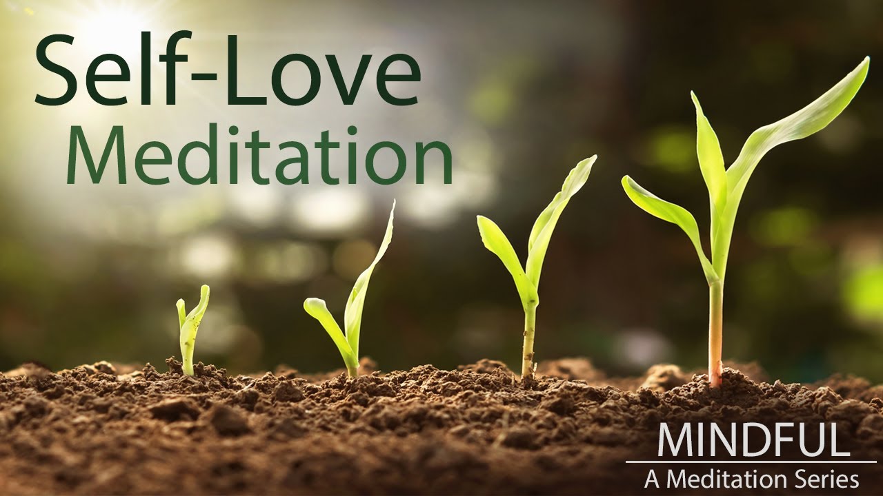 Mindful: A Meditation Series (Guided Self-Love and Reflection ...