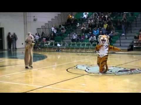 THE Mascot Dance Off Original Cat vs. Dog - YouTube