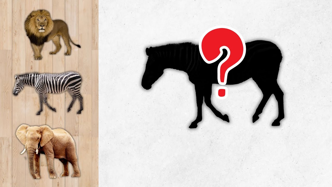 Learn Animals For Kids, Horse, Tiger, Sheep, Zebra, Lion, Elephant, Cow ...