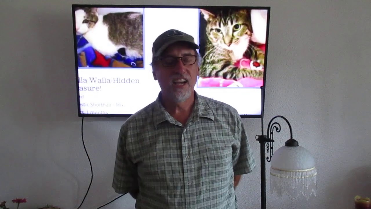 Mr. Senzig Virtual Open House - YouTube