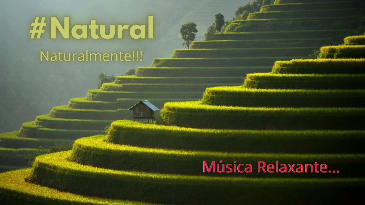 #Natural Naturalmente!!! Música Relaxante, Para acalmar e Relaxar a ...