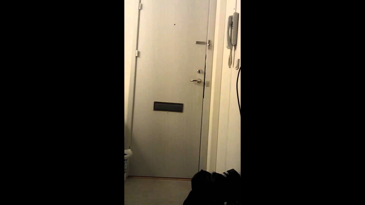 Daniel dizon the scream 2 - YouTube