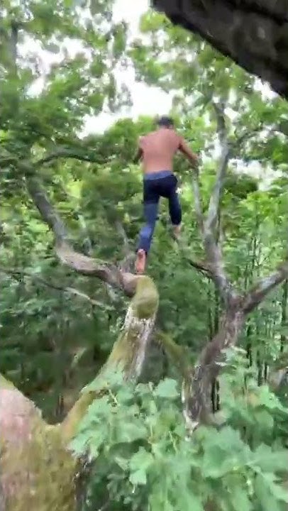 Man Climbs trees better than a Monkey | Amazing Tree Climbing Skills ...