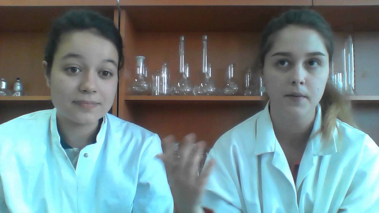 Anela Arifi and Ilda Ismail, Project: Catch It On The Wing, Google ...