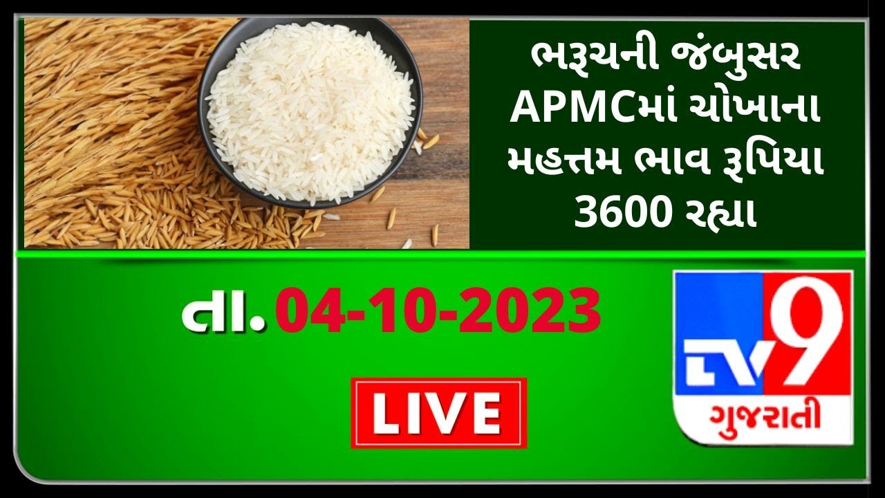 Mandi : ભરૂચની જંબુસર APMCમાં ચોખાના મહત્તમ ભાવ રૂપિયા 3600 રહ્યા | APMC | GUJARAT | Tv9News ...