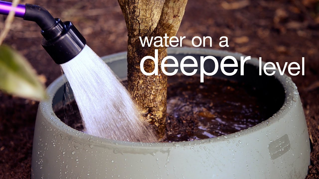 Save and Water Smarter with Greenwell Water Saver at WaysideGardens.com ...