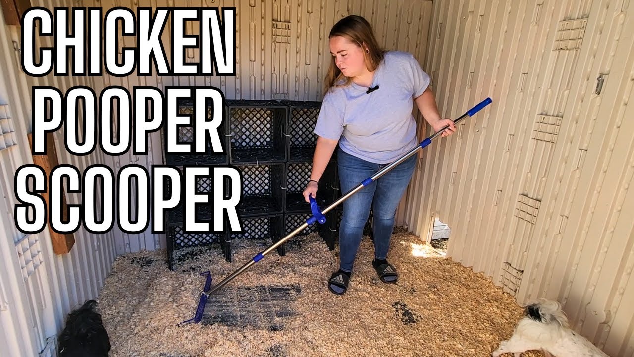 Adjustable pooper scooper for small farm animals - YouTube