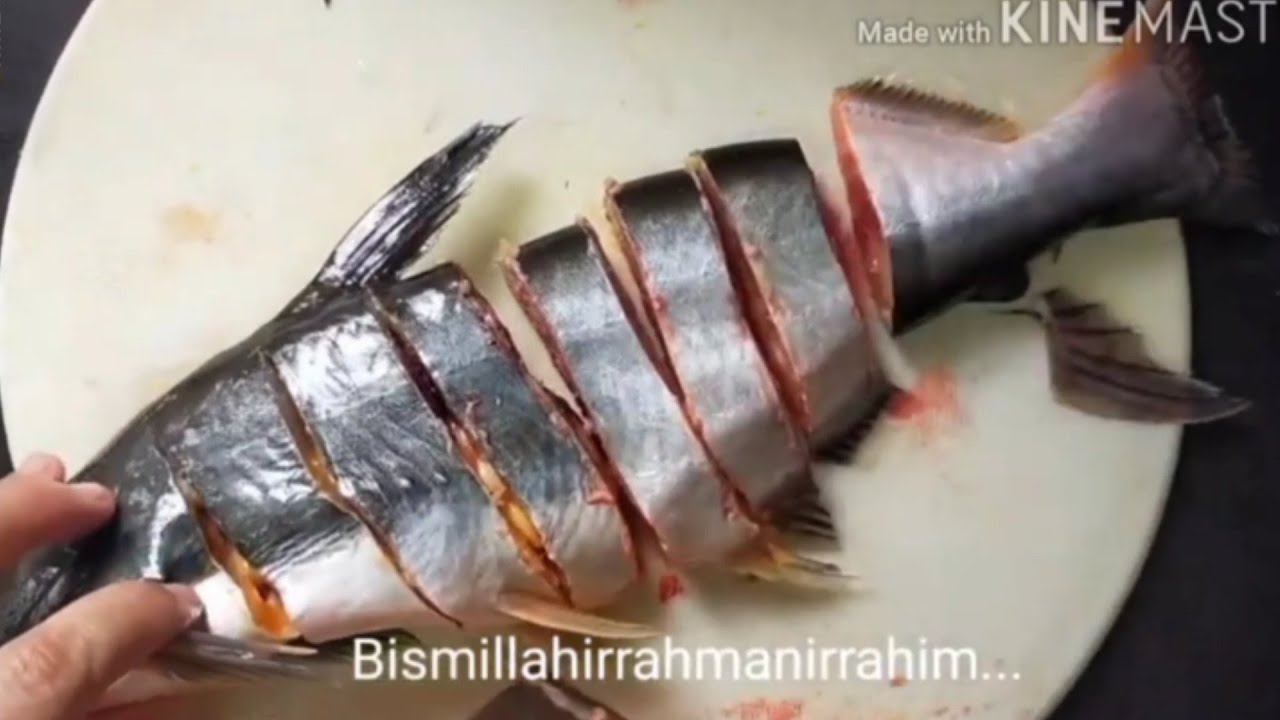 TIPS SIANG DAN POTONG IKAN PATIN MUDAH JE #moktihchannel - YouTube