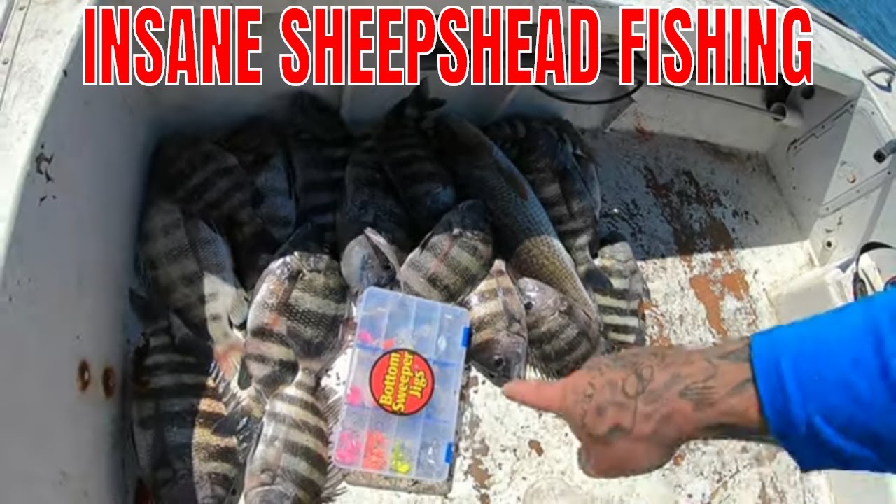 Fishing The Jetties For An Insane Sheepshead Bite with the Bottom ...
