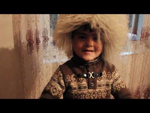 Azərbaycanda yaşayan saxurlar