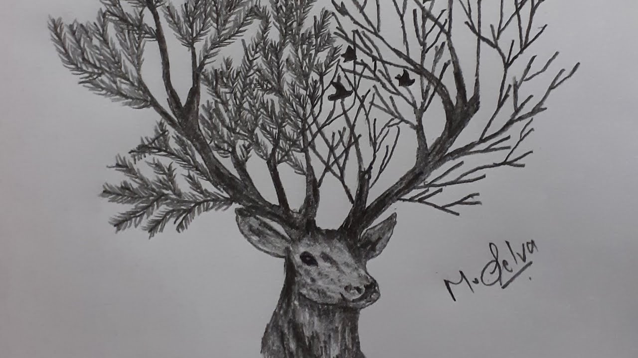 Art of creative dear 2 - pencil drawing - YouTube