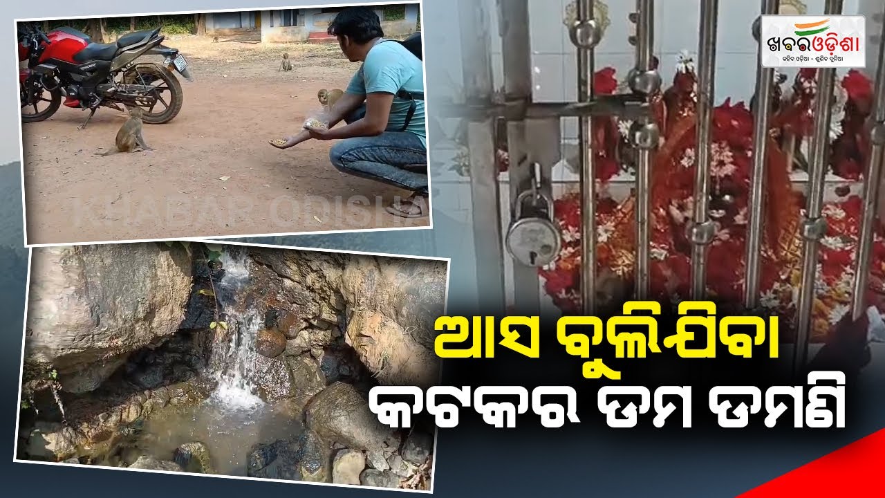 ଆସ ବୁଲିଯିବା କଟକର ଡମ ଡମଣି | Dam Damani Pitha | Cuttack | Khabar Odisha ...