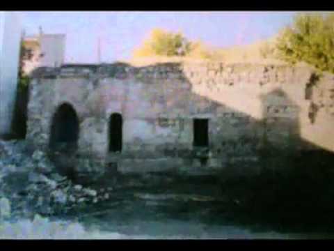 AYSUN GÜLTEKİN - TANDIRA KOYDUM PAÇAYI