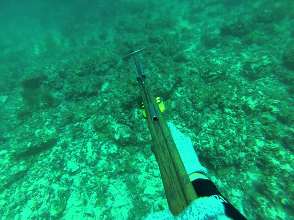 Spring Spearing in the Gulf of Mexico - YouTube
