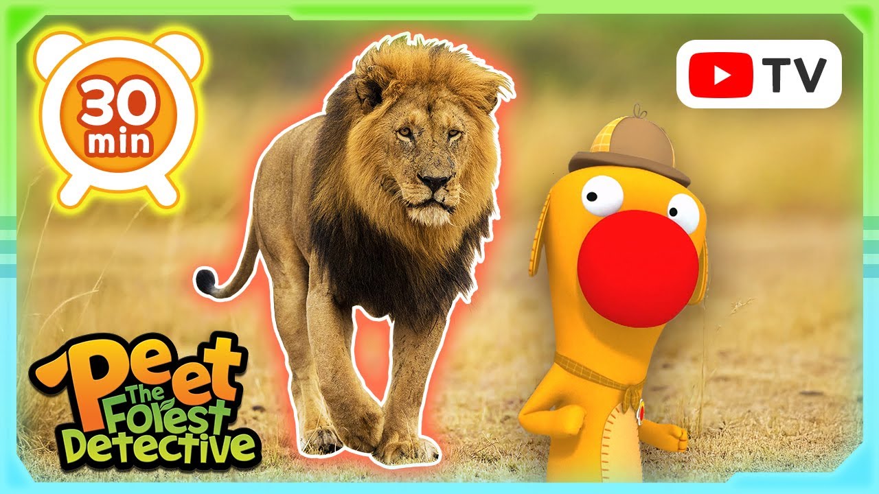 Patrol of the Lion 🦁🌳 | Animal Stories For Kids | Peet The Forest ...
