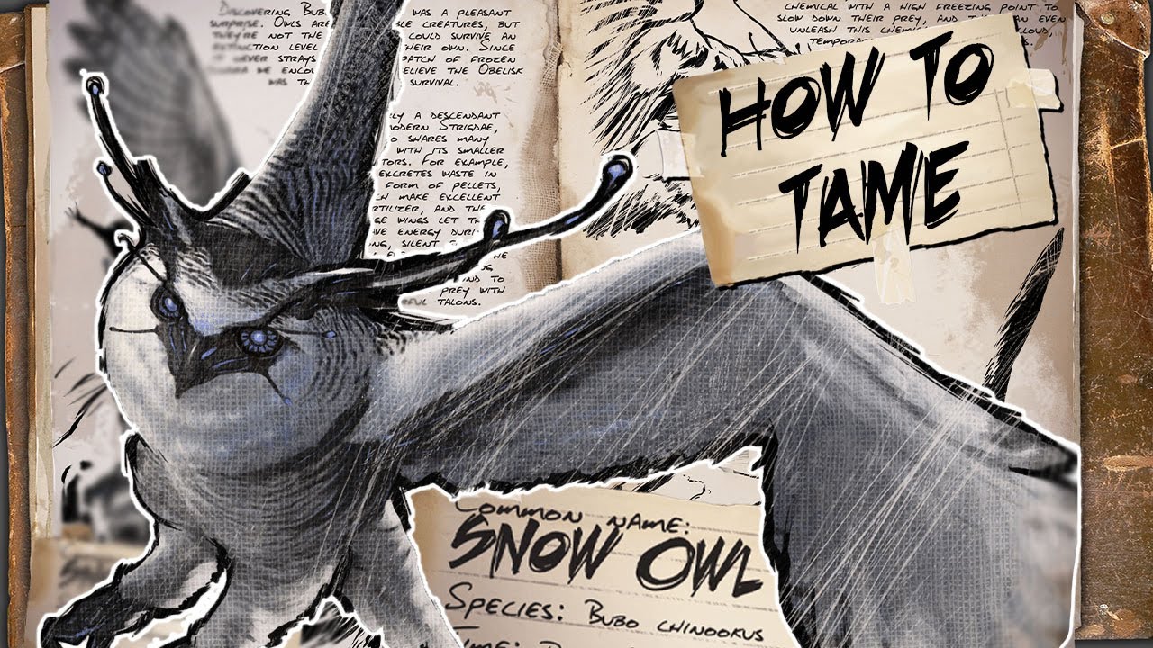 Ark Survival Evolved How To Tame Snow Owl - YouTube