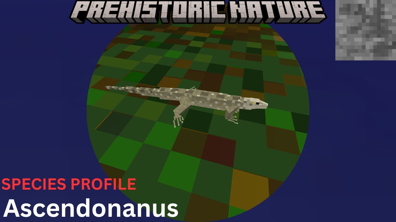 Prehistoric nature - Ascendonanus species profile - YouTube