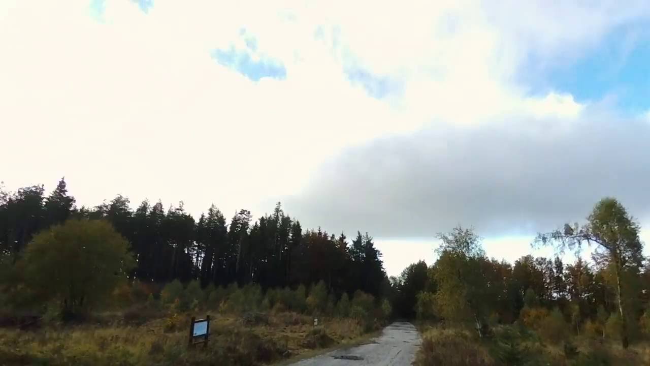 Parrot Disco Drone Fatal Crash - YouTube
