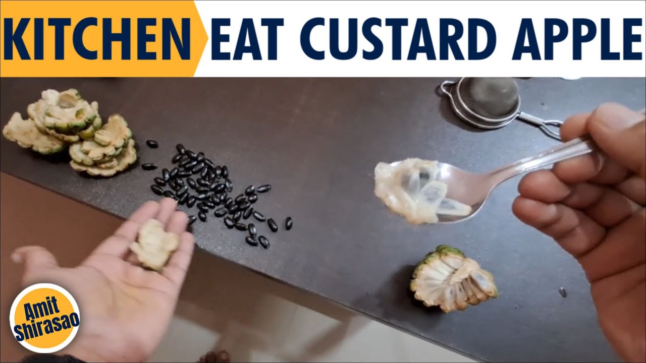 Easy trick to eating Custard Apple cleanly - YouTube