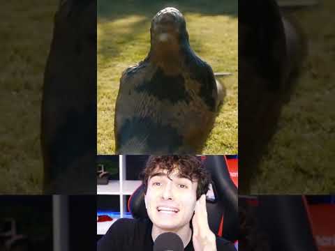 SNAKE SWALLOWS MAN.. #Shorts