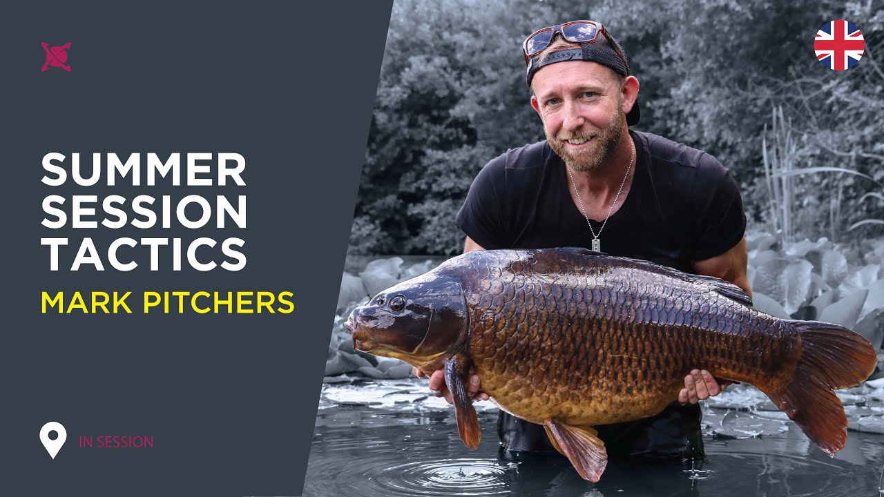 Mark Pitchers Summer Session Tactics ***- Live 40lb Carp! - YouTube