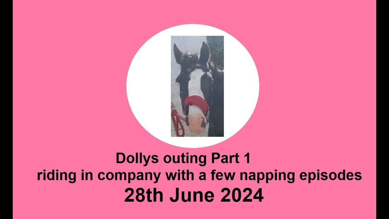 Dollys outing Part 1 riding in company with a few napping episodes - YouTube