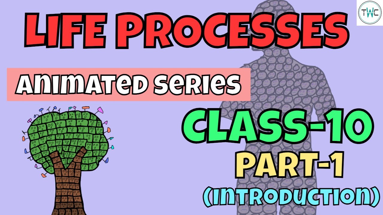 life processes class 10 animated videos/Part-1/Crash course - YouTube