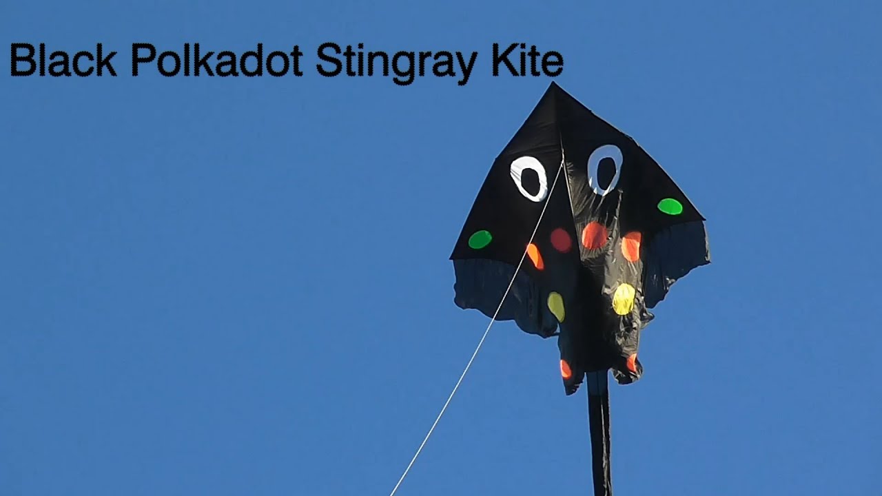 Black polkadot stingray kite - YouTube