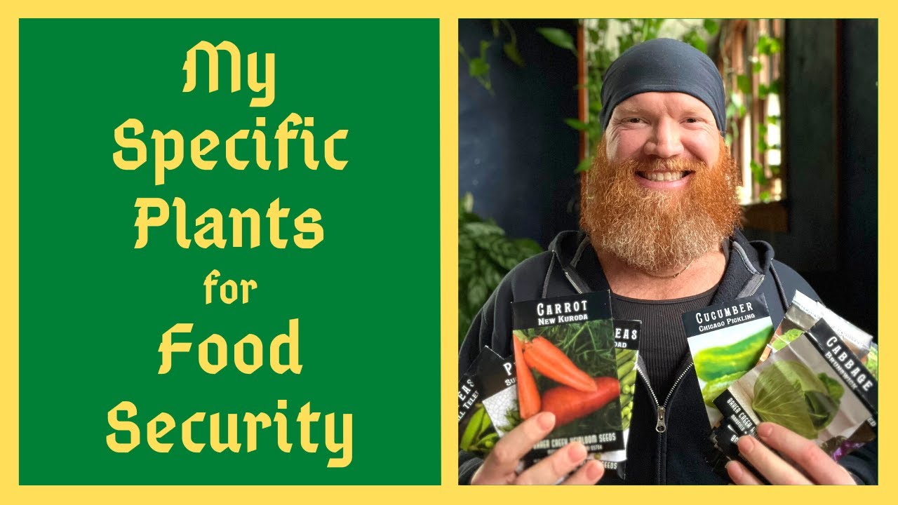 Grow THESE 20 Plants For Food Security in 2023 - Exact Varieties And ...