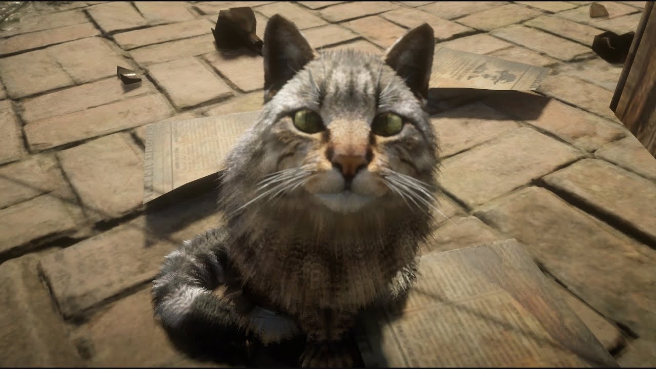 RDR2_貓咪大人 - YouTube