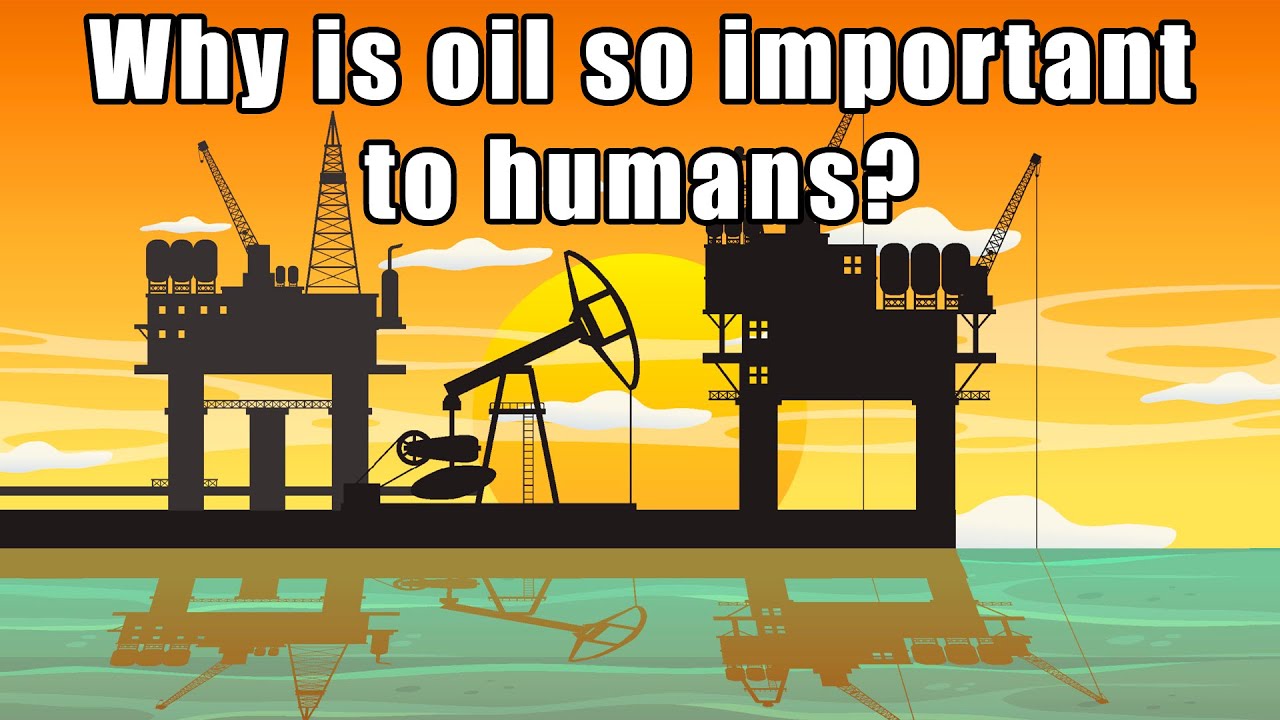 Why is oil so important to humans? - YouTube