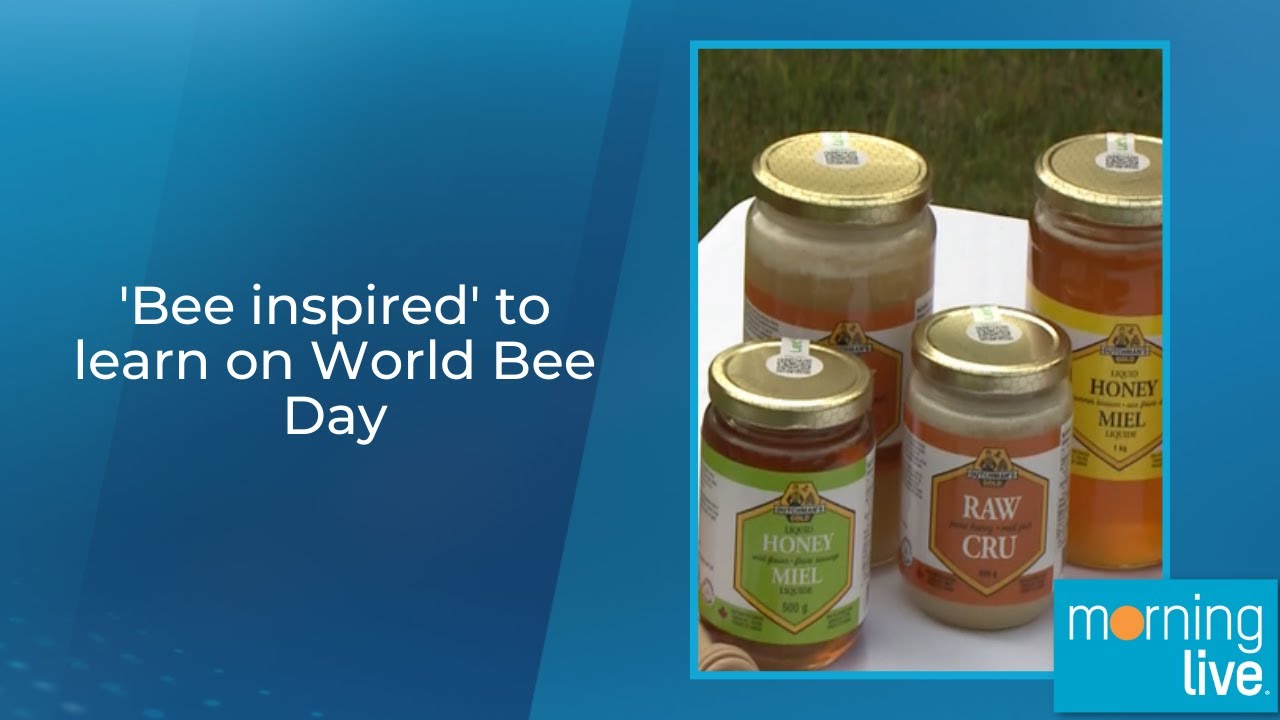 'Bee inspired' to learn on World Bee Day - YouTube
